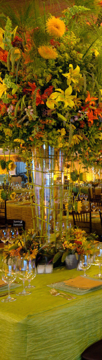 Table Landscape – Stunning Expressions